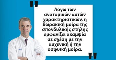Σπονδυλική Στήλη | Γενική ανατομία - Δρ. Παπαδόπουλος